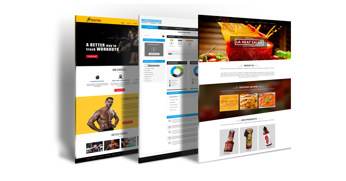 IT GENESIS – IT GENESIS SOFTWARE HOUSE